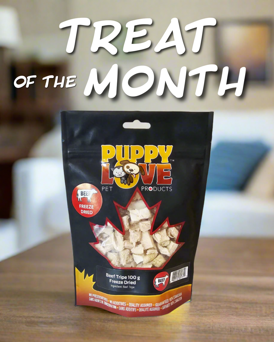 Puppy Love Raw Freeze Dried Feasts Dog Food