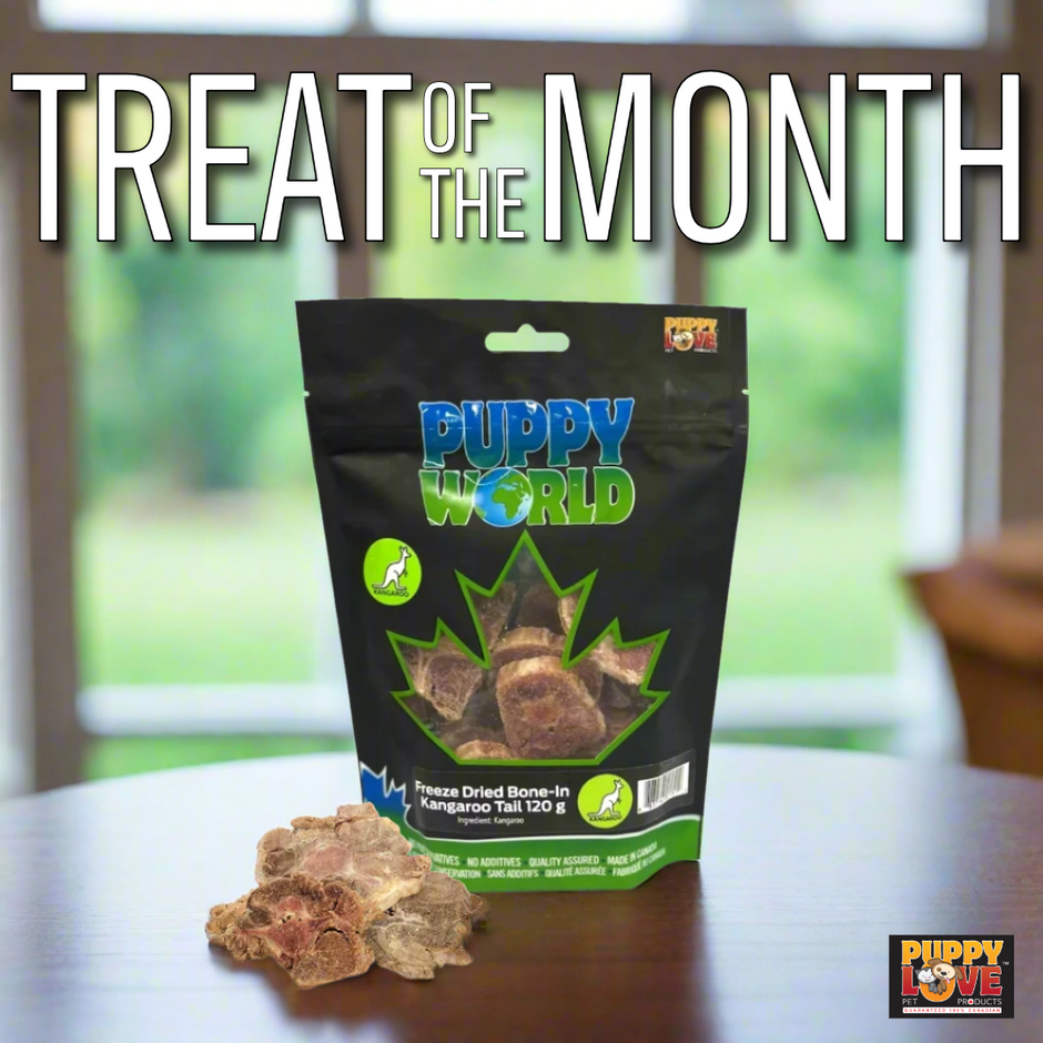 Puppy Love Raw Freeze Dried Feasts Dog Food